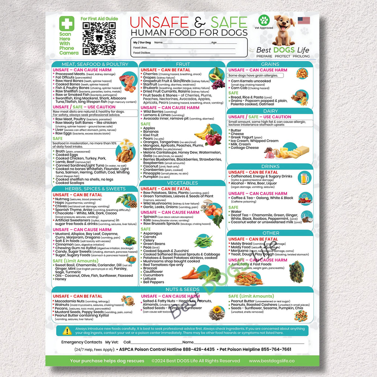 Premium Unsafe & Safe Human Food for Dogs guide – Pupcosy